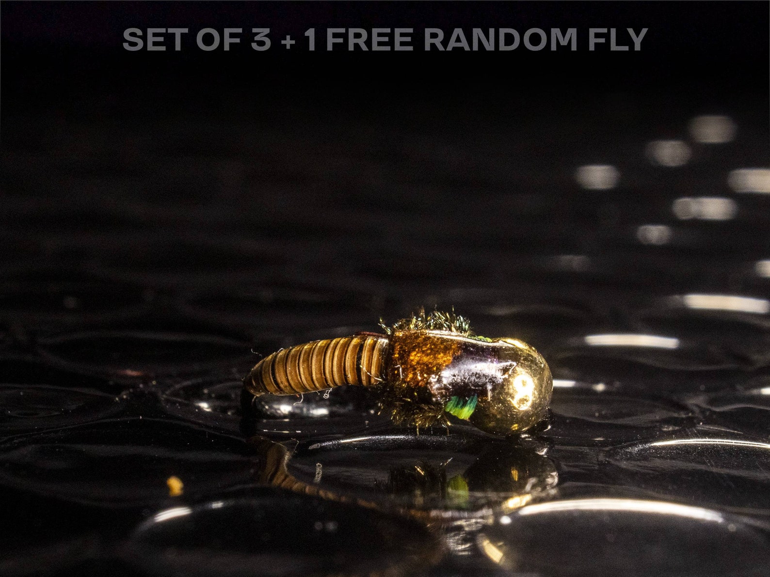 3 Caddi Larvae 1 FREE Random Fly Tungsten Bead Head Euro Nymph Perfect ...