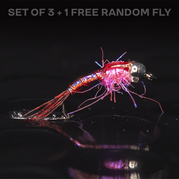 Free Warrior Games - Etsy