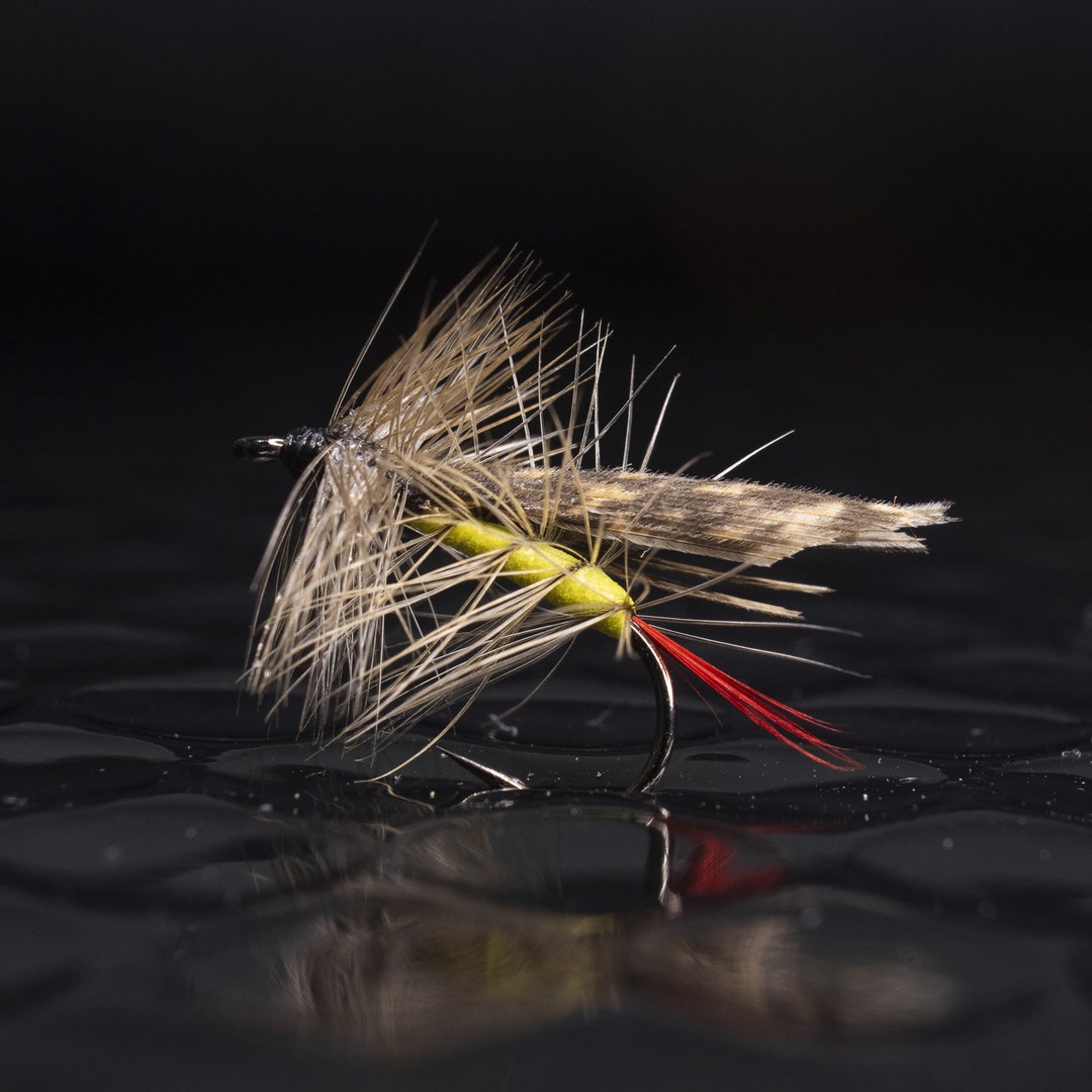 3 Terrestrial Dry Flies for Fly Fishing 1 FREE Random Fly - Etsy