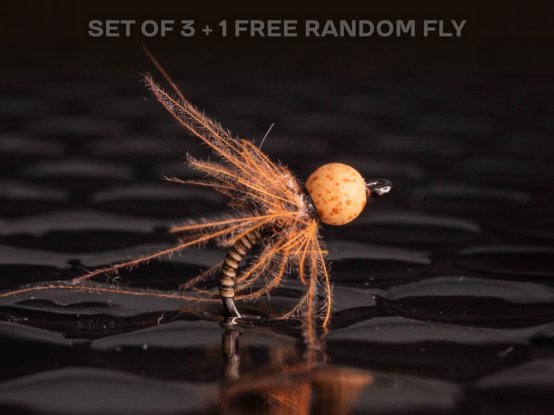 3 CDC Euro Nymphs + 1 FREE Random Fly — Tungsten Euronymph Jig Flies ...