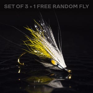 3 Tiger Ghost + 1 FREE Random Salmon Fly — Salmon Fly Fishing Wet Flies ...