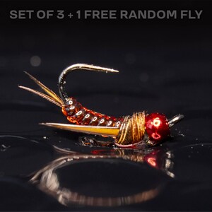 3 Bloody Mary Nymph + 1 FREE Random Fly — Tungsten Bead Head and ...