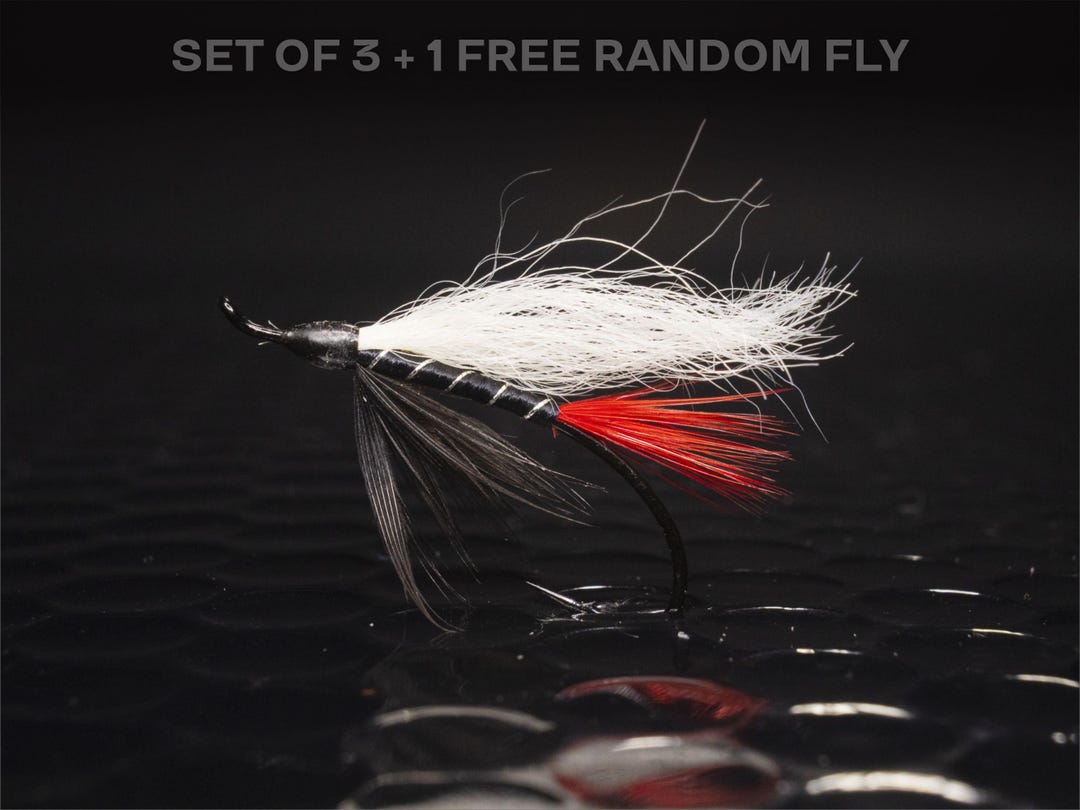 3 Skunk + 1 FREE Random Salmon Fly — Salmon Fly Fishing Wet Flies ...