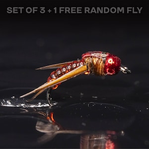 3 Bloody Mary Nymph + 1 FREE Random Fly — Tungsten Bead Head and ...