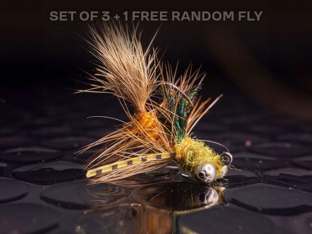 3 Headstand Flies + 1 FREE Random Fly — Headstand Carp Smallie ...