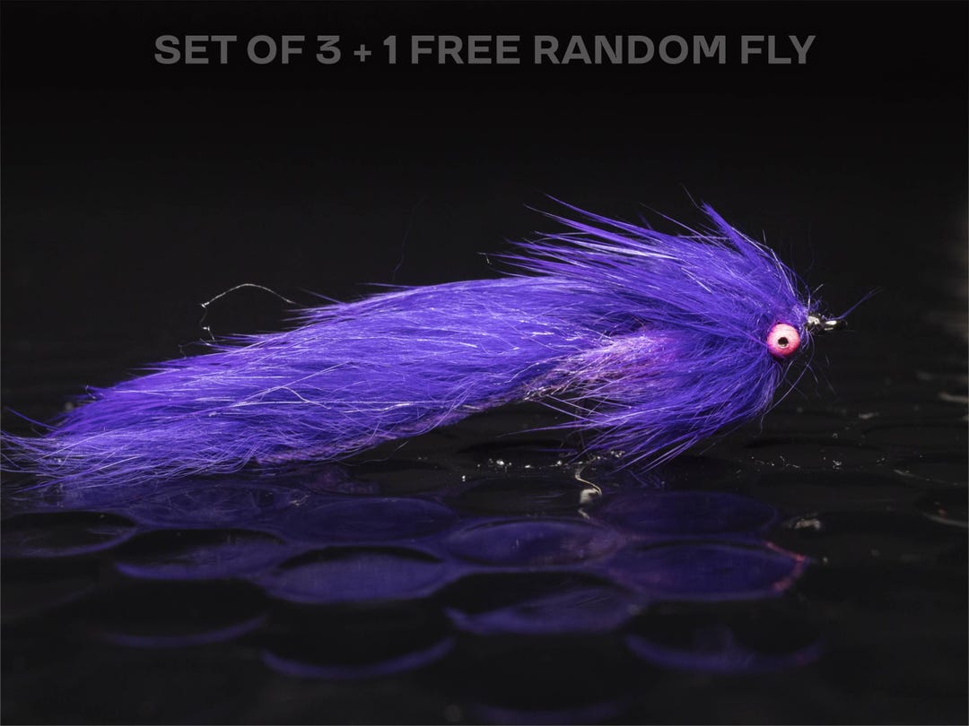 3 Purple Streamers + 1 FREE Random Fly — Streamer for Fly Fishing ...