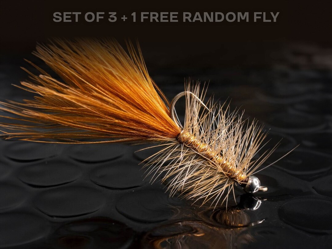 3 Woolly Bugger + 1 FREE Random Fly — Tungsten Streamers for Fly ...