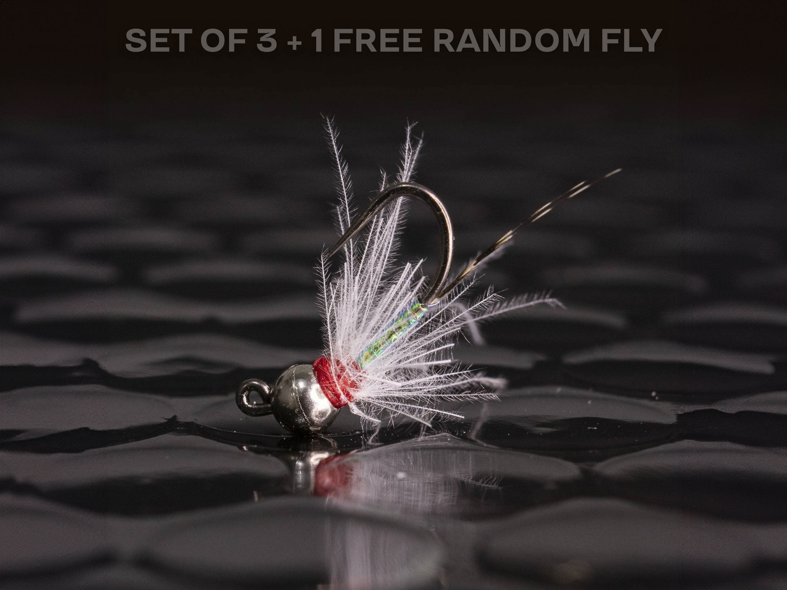 3 CDC Rainbow Warrior 1 FREE Random Fly Tungsten Euro Nymph Jig Flies ...