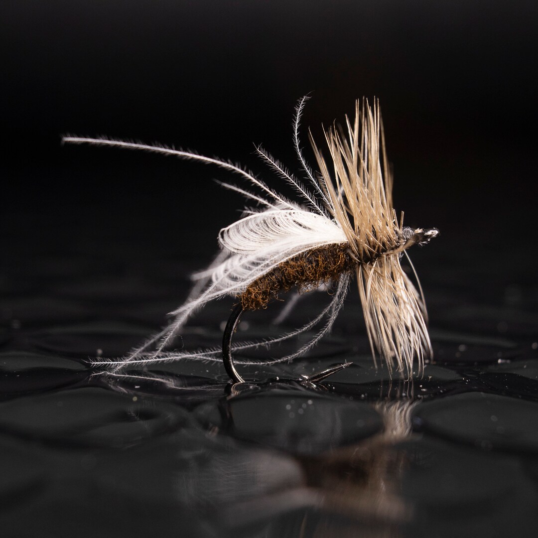3 CDC Dry Flies 1 FREE Random Fly Surface Fly Fishing. Perfect for ...