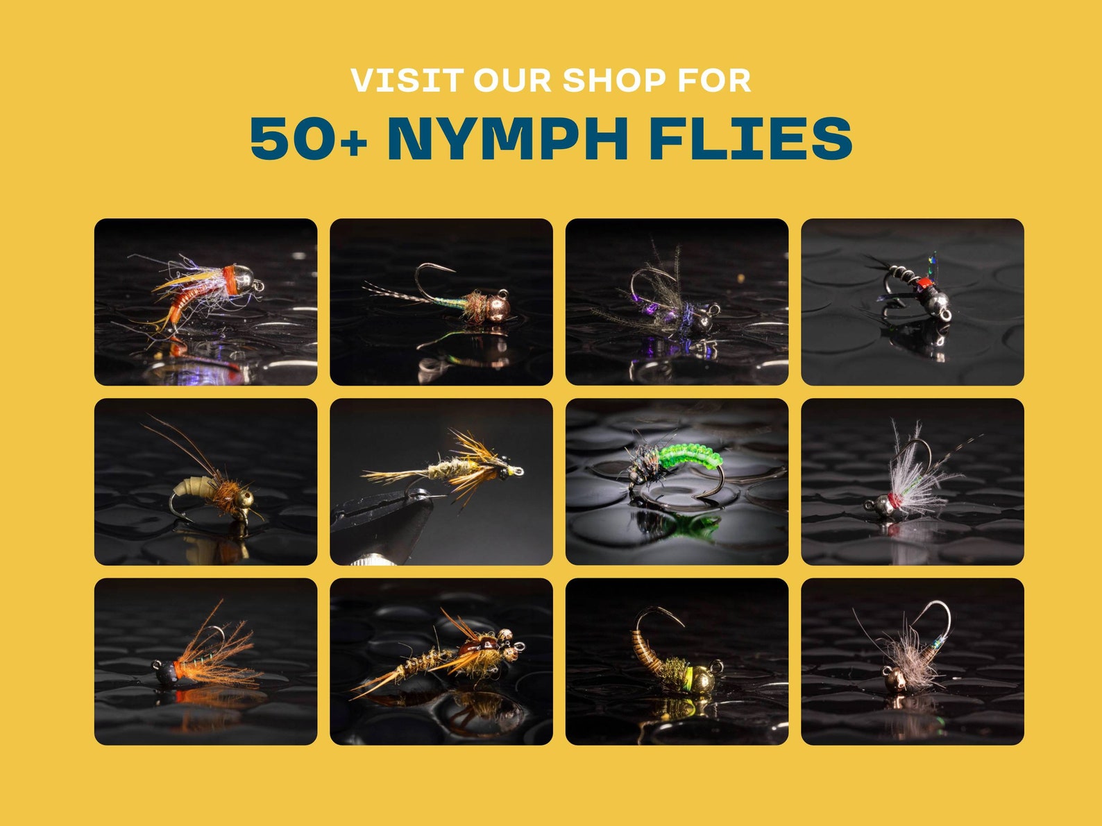 3 Euro Nymphing Flies 1 FREE Random Fly Tungsten Caddis Hot Spot Egg ...