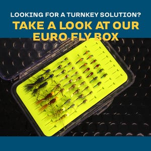 3 Bloody Mary Nymph + 1 FREE Random Fly — Tungsten Bead Head and ...