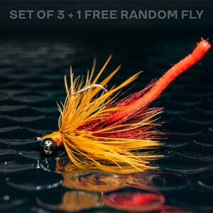 3 Hybrid Trouser Worm Carp Flies + 1 FREE Random Fly — Bottom Crawler ...