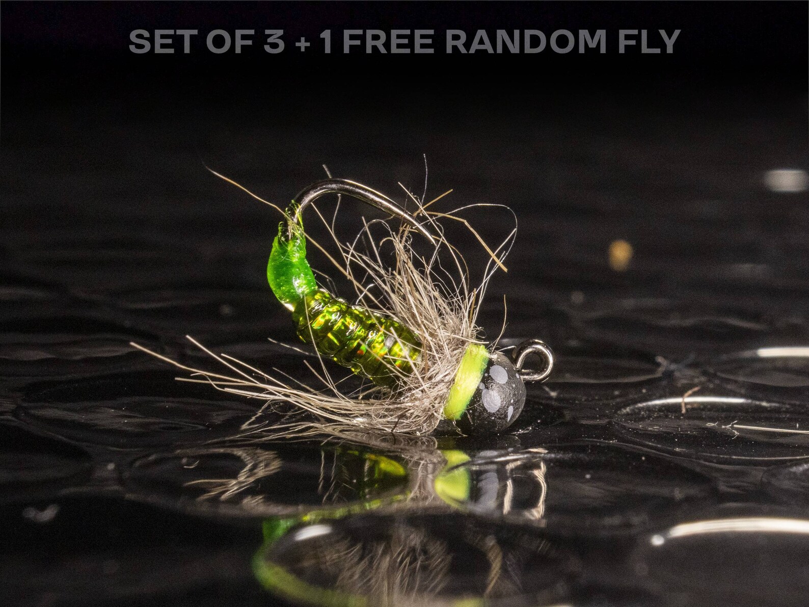 3 Euro Nymphing Flies 1 FREE Random Fly Tungsten Caddis Hot Spot Egg Laying for Euro Fly Fishing ...