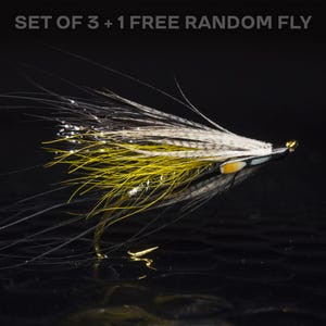 3 Tiger Ghost + 1 FREE Random Salmon Fly — Salmon Fly Fishing Wet Flies ...