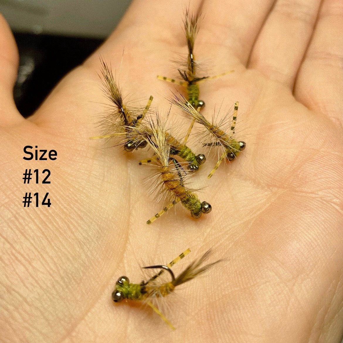 3 Carp Flies 1 FREE Random Fly Headstand Carp Jig Patterns for Fly ...