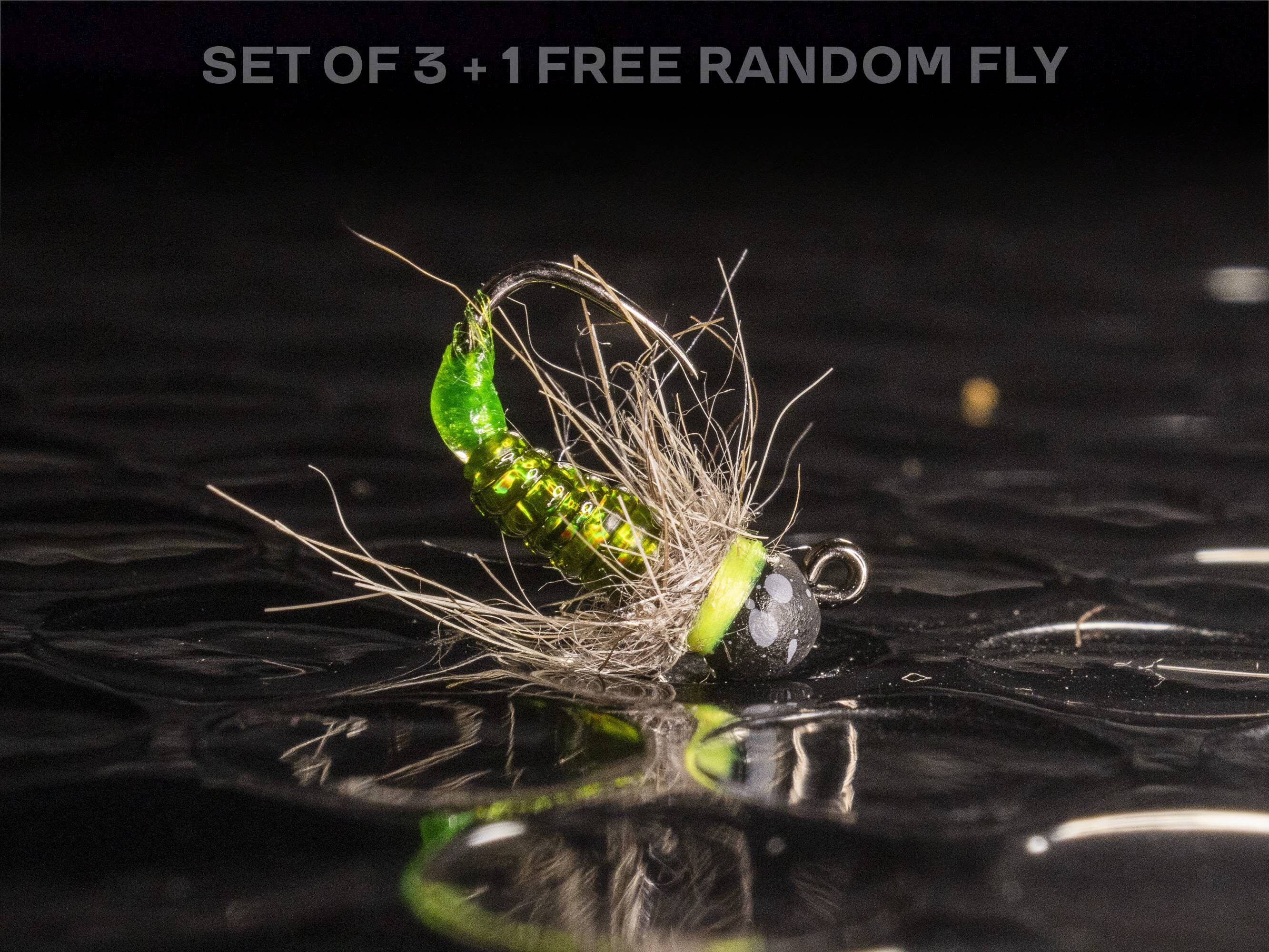 3 Euro Nymphing Flies 1 FREE Random Fly Tungsten Caddis Hot Spot Egg Laying for Euro Fly Fishing ...