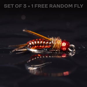3 Bloody Mary Nymph + 1 FREE Random Fly — Tungsten Bead Head and ...