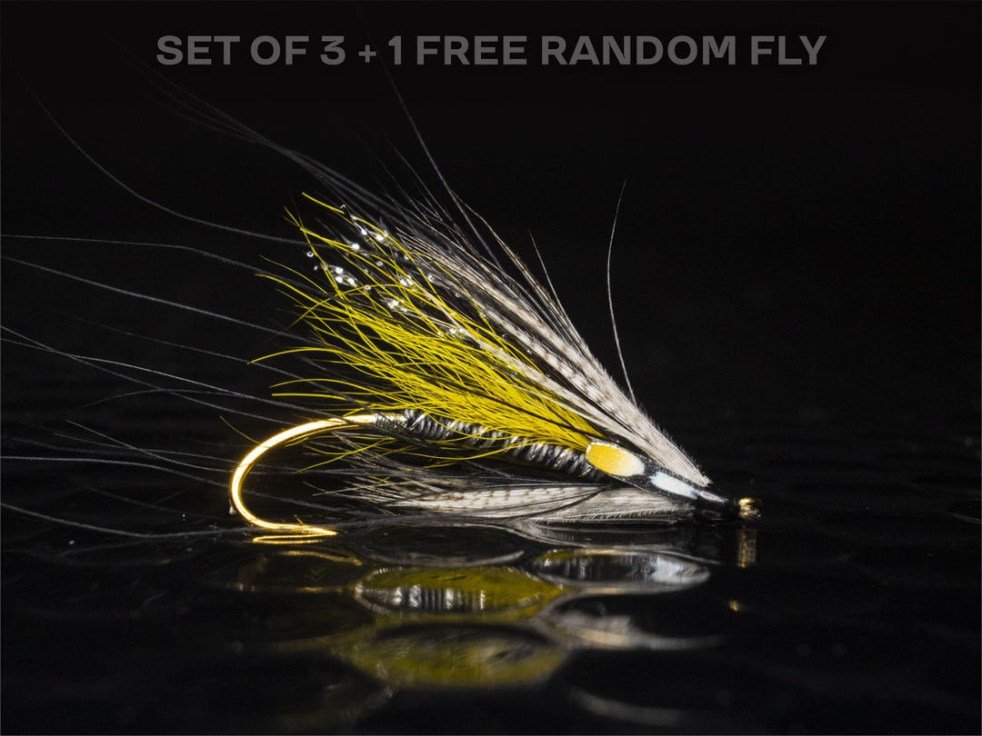 3 Tiger Ghost + 1 FREE Random Salmon Fly — Salmon Fly Fishing Wet Flies ...