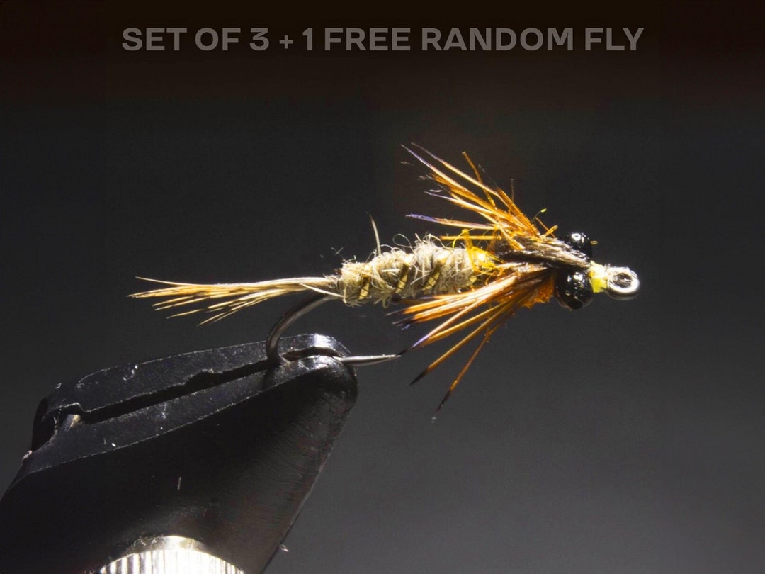 3 Troutmaster + 1 FREE Random Fly — Nymphs Fly Fishing Perfect for ...