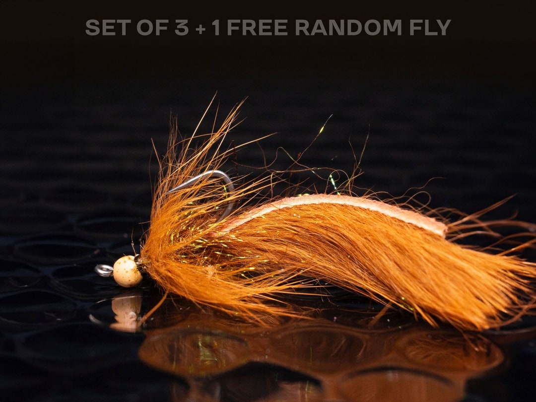 3 Leech Streamer 1 FREE Random Fly Tungsten Euro Streamer for Fly ...