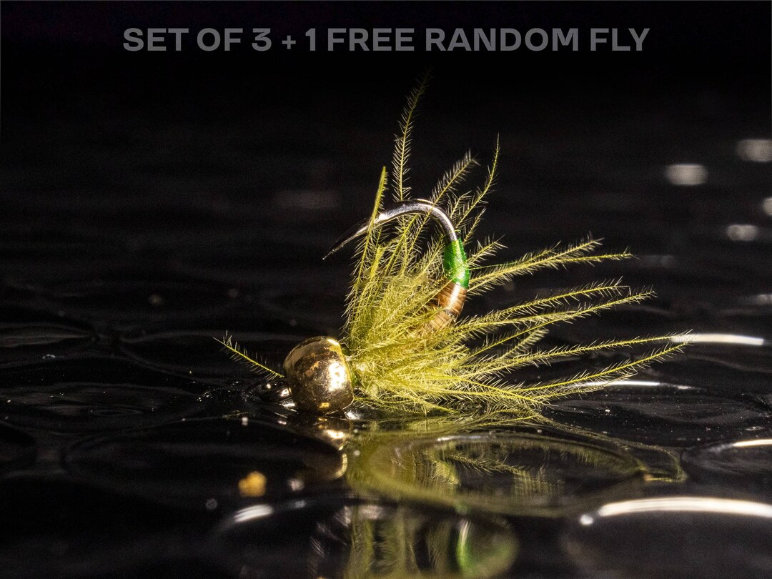 3 CDC Euro Flies + 1 FREE Random Fly — Tungsten Euro Nymph Jig Flies ...