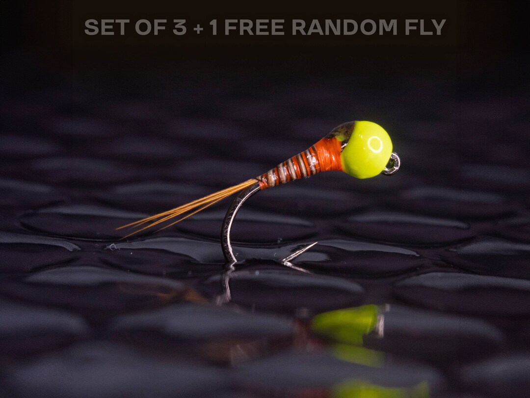 3 Perdigon + 1 FREE Random Fly — Tactical Tungsten Euro Nymph Flies ...