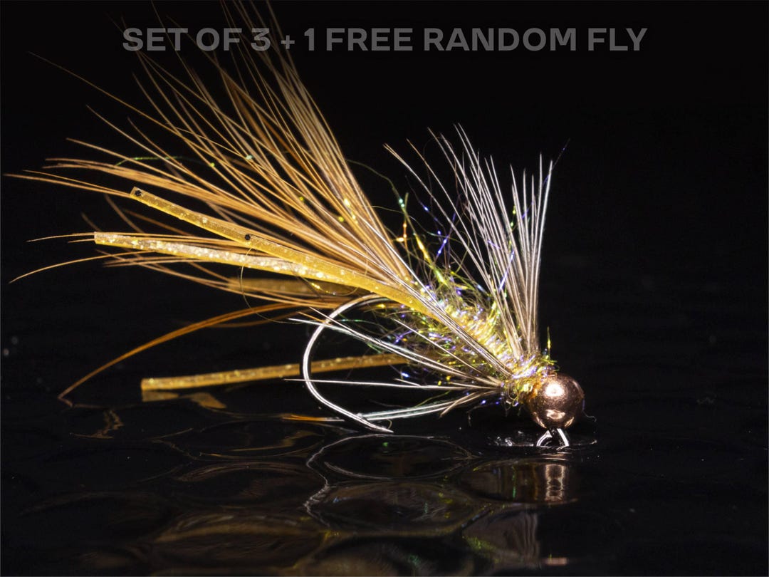 3 Pheasant Bass Flies + 1 FREE Random Fly — Tungsten Streamers for Fly ...