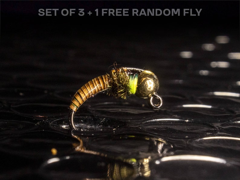 3 Caddi Larvae 1 FREE Random Fly Tungsten Bead Head Euro Nymph Perfect ...