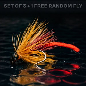 3 Hybrid Trouser Worm Carp Flies + 1 FREE Random Fly — Bottom Crawler ...