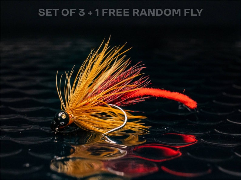 3 Hybrid Trouser Worm Carp Flies + 1 FREE Random Fly — Bottom Crawler ...