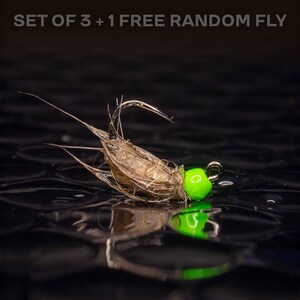 3 Peeping Caddi 1 FREE Random Fly Tungsten Caddis Larva for Euro Fly ...