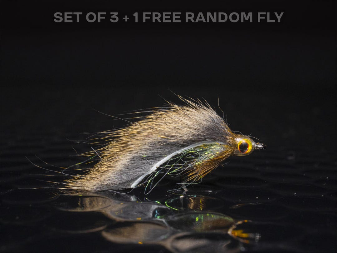 3 Tactical Masked Bandit + 1 FREE Random Fly — Streamer for Fly Fishing Perfect for Trout Bass ...