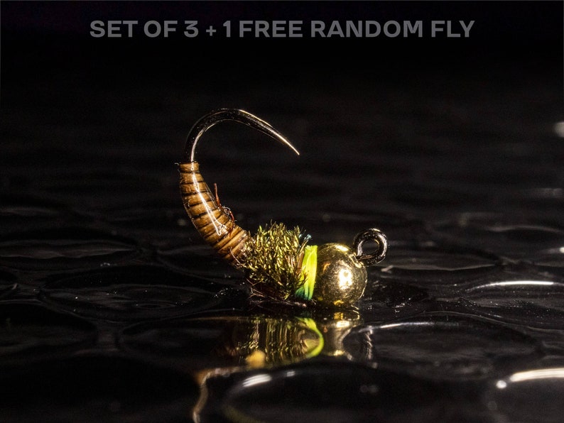3 Caddi Larvae 1 FREE Random Fly Tungsten Bead Head Euro Nymph Perfect ...