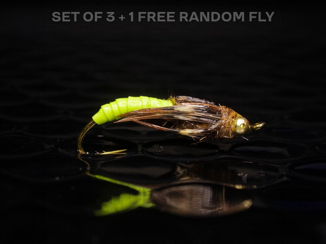 3 Caddis Pupa + 1 FREE Random Fly — Rubber Larva for Fly Fishing Perfect for Rainbow Brown Trout ...