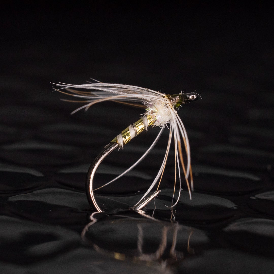 3 Soft Hackles Flies 1 FREE Random Fly Wet Flies for Fly Fishing - Etsy