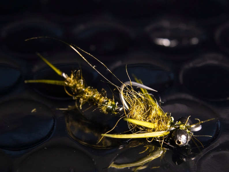 3 Articulated Nymphs + 1 FREE Random Fly — Micro Game Changer for Fly ...
