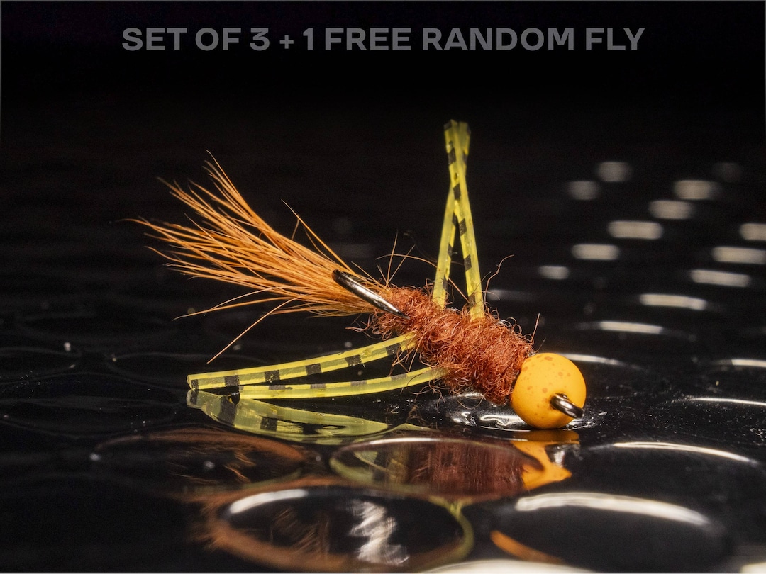 3 Pat Rubber Legs Stoneflies + 1 FREE Random Fly — Tungsten Euro Fly ...