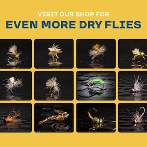 3 Bloody Mary Nymph + 1 FREE Random Fly — Tungsten Bead Head and ...