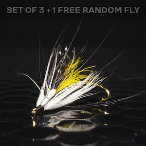 3 Tiger Ghost + 1 FREE Random Salmon Fly — Salmon Fly Fishing Wet Flies ...