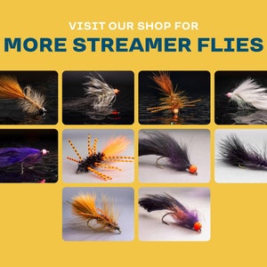 3 Leech Streamer + 1 FREE Random Fly — Tungsten Euro Streamer for Fly ...
