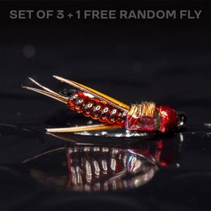 3 Bloody Mary Nymph + 1 FREE Random Fly — Tungsten Bead Head and ...