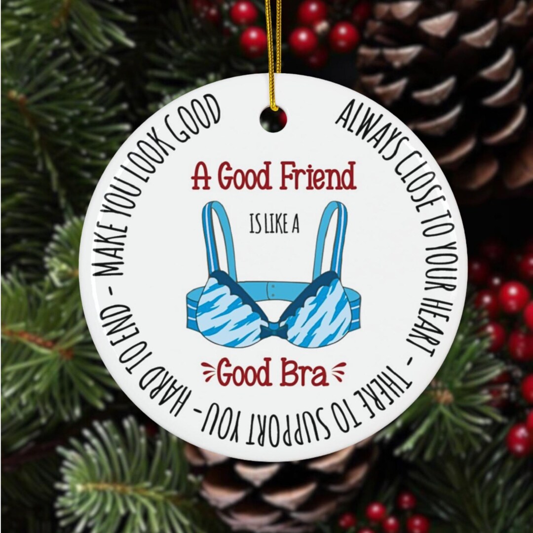 A Good Friend is Like a Good Bra PNG Ornament, Friend Christmas ...