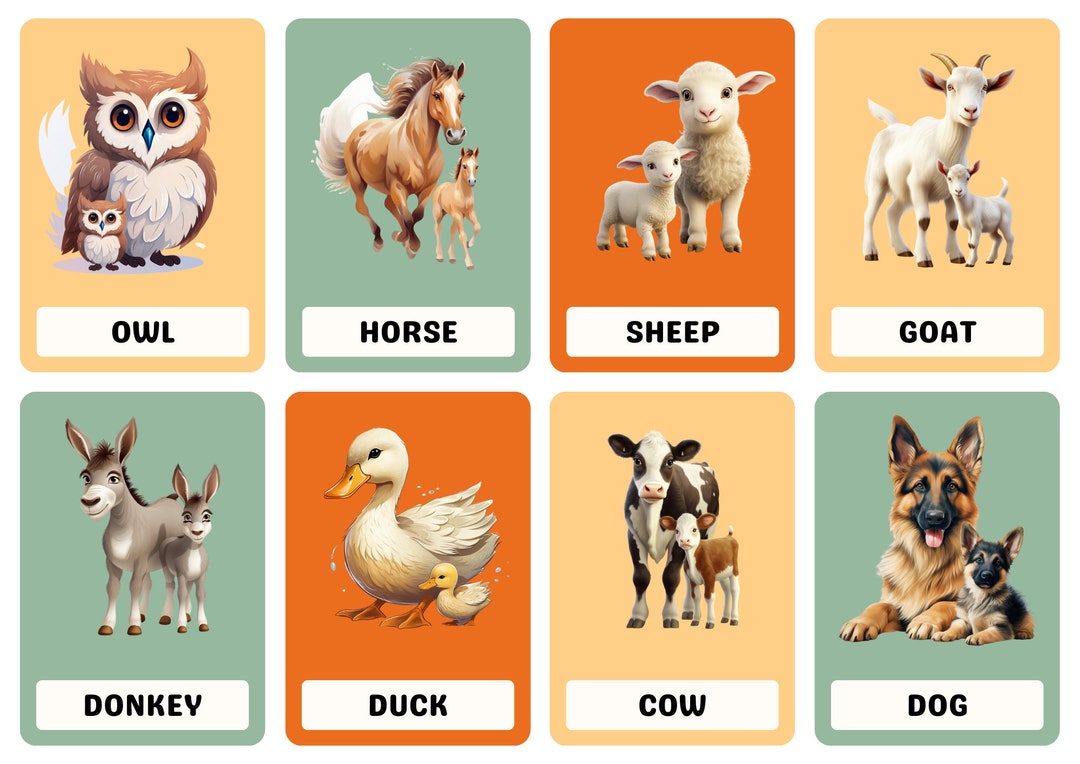 Farm Animal Flashcards Set of 16 Educational Learning Cards for Kids ...