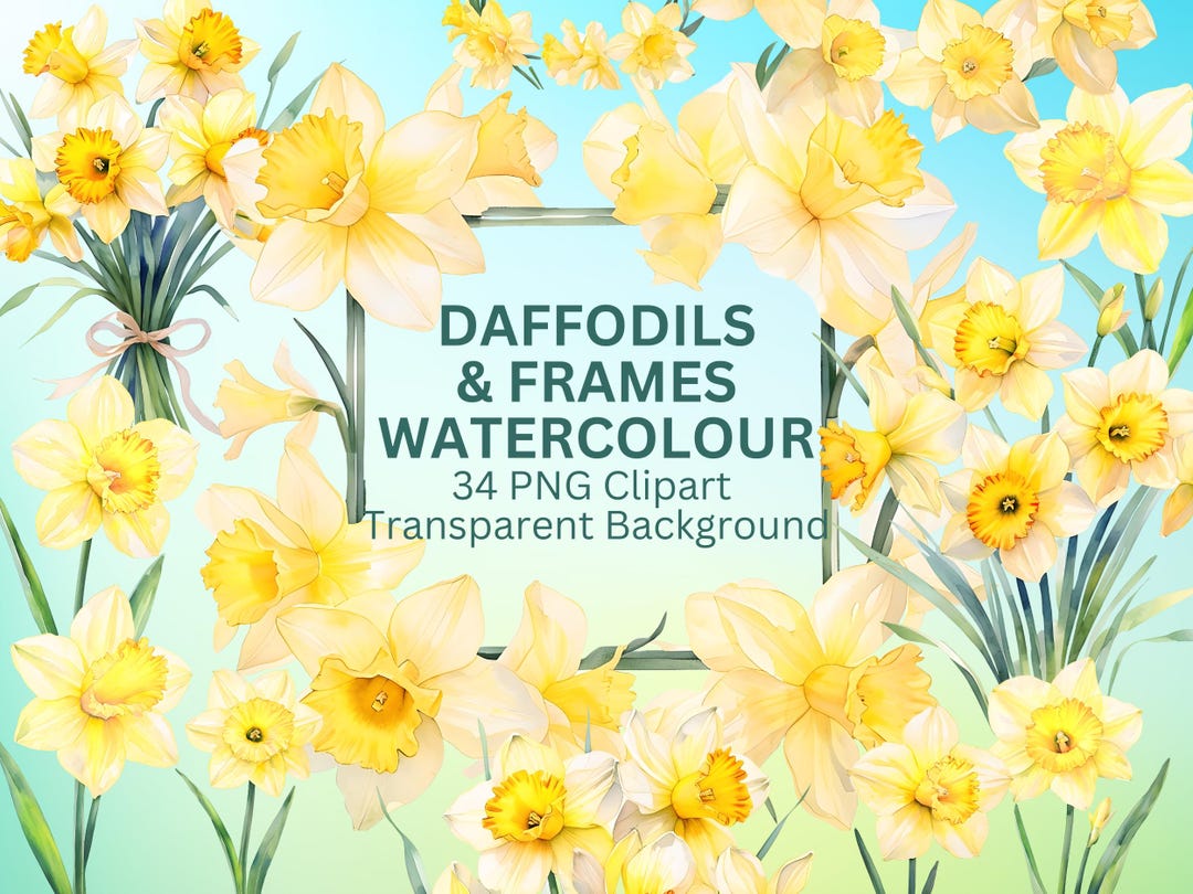 Daffodils Watercolor Clipart: Flowers and Floral Frames PNG Bundle (34 ...