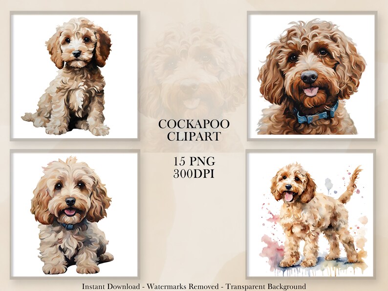 Cute Cockapoo Clipart, 15 PNG Clipart Bundle, Dog Art, Instant Download ...