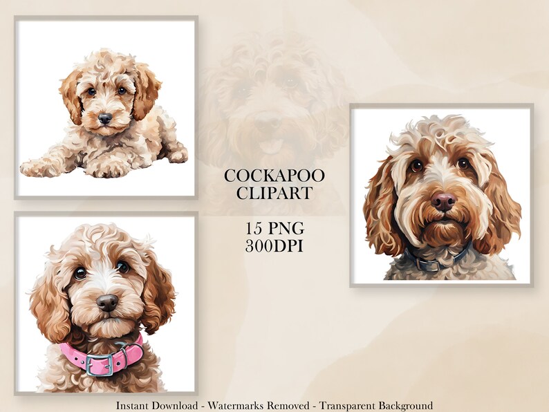 Cute Cockapoo Clipart, 15 PNG Clipart Bundle, Dog Art, Instant Download ...