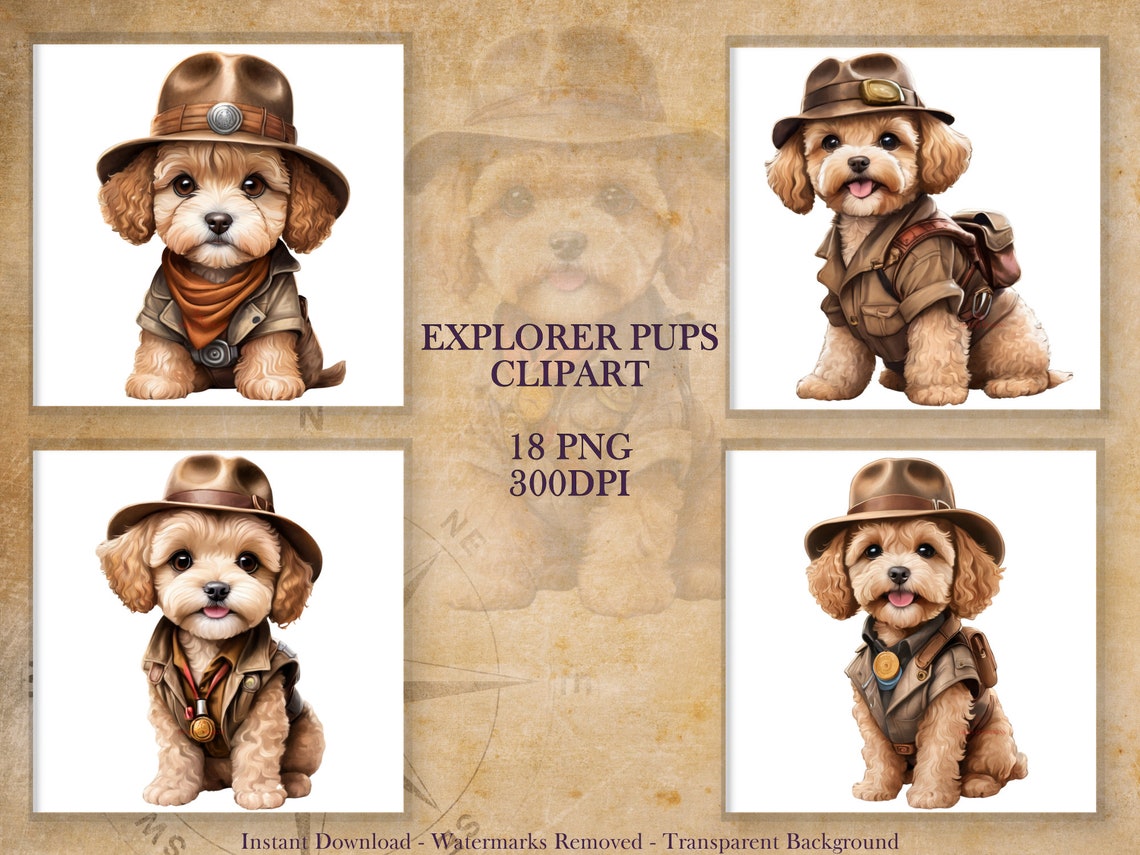 Cute Explorer Pups, 18 PNG Clipart Bundle, Instant Download, Commercial ...
