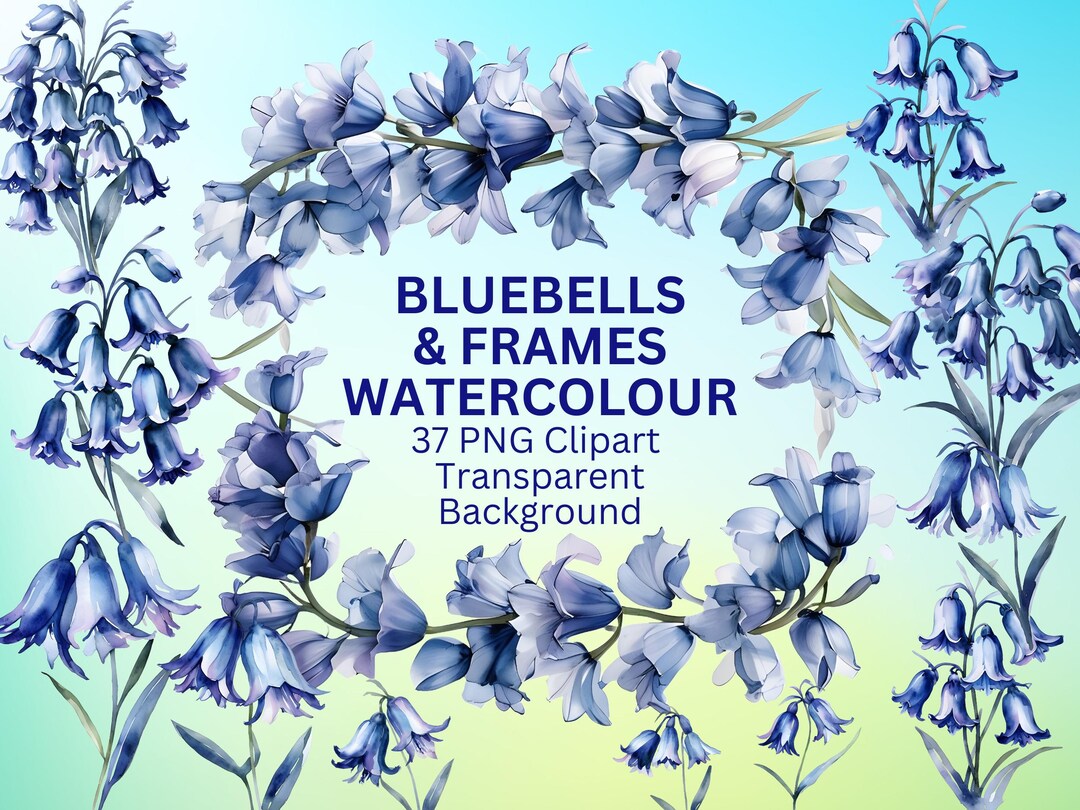 Bluebells Watercolor Clipart: Floral Frames 37 PNG Bundle (digital ...