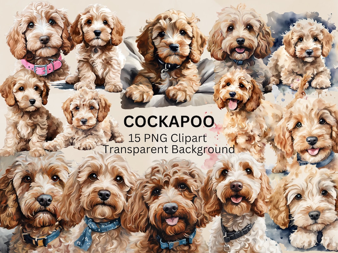 Cute Cockapoo Clipart, 15 PNG Clipart Bundle, Dog Art, Instant Download ...