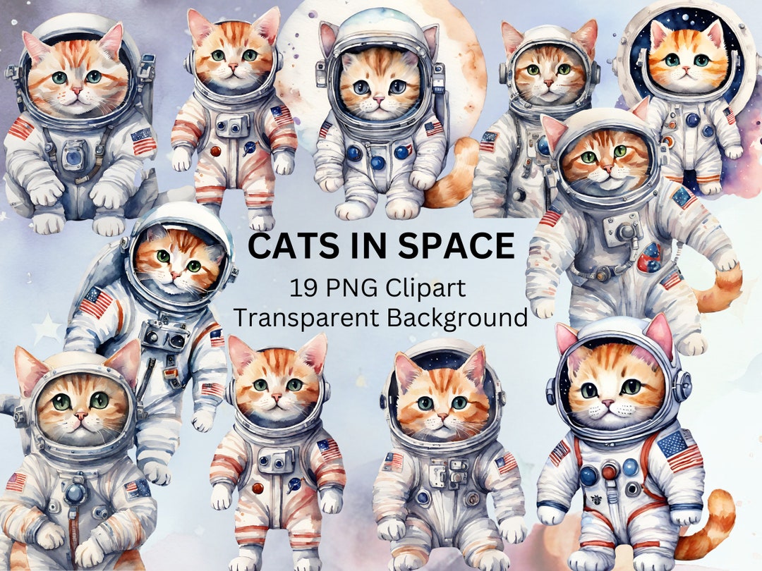 Cats in Space Clipart, 19 PNG Clipart Bundle, Instant Download ...
